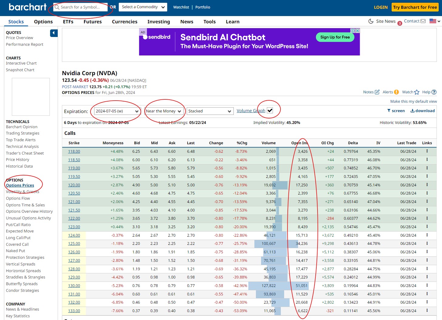 barchart.com 옵션 가격